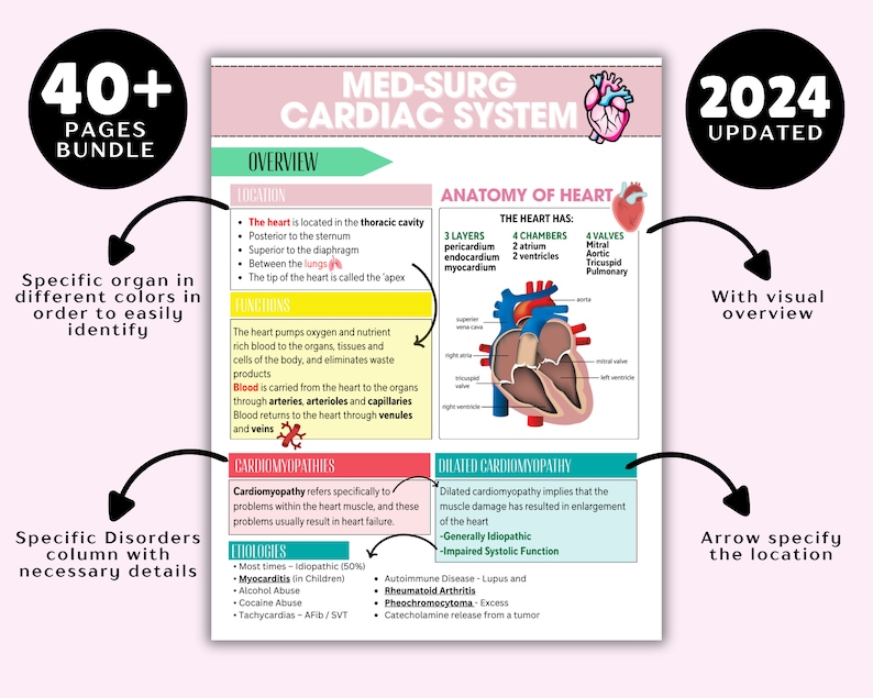 Cardiovascular System and Disorders With Cardiac Rhythms 2025 Nursing ...