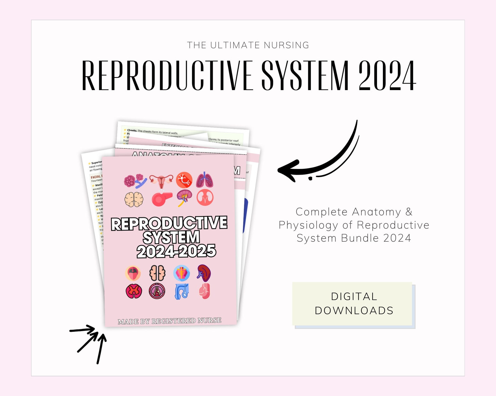 Reproductive System Nursing Notes, Reproductive System, Anatomy and ...