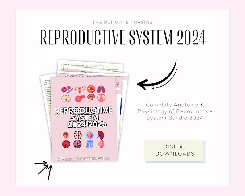 Reproductive System Anatomy Nursing Notes Bundle (digital Download) - Etsy