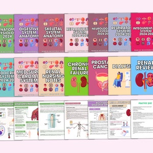 Advance Anatomy & Physiology II Bundle With Flashcards, Anatomy Study ...