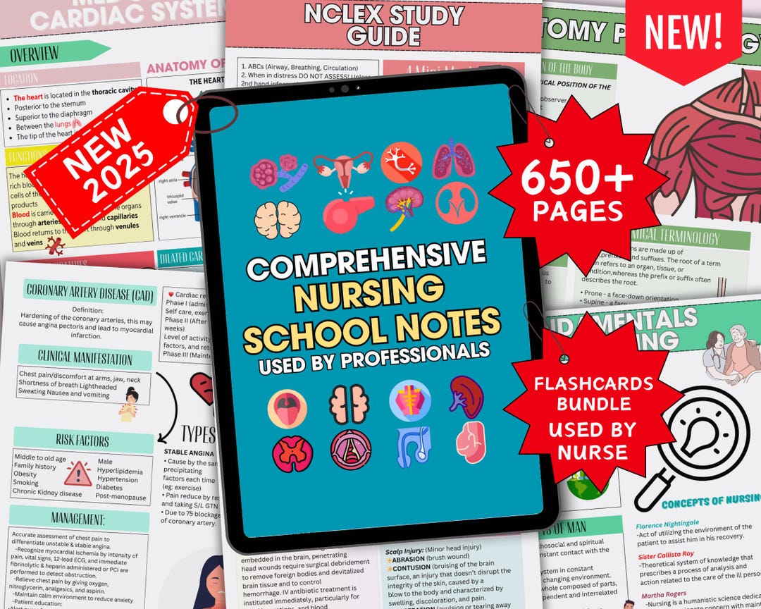 Nursing School Notes Bundle 2024, Nursing Notes, Nursing Bundle ...