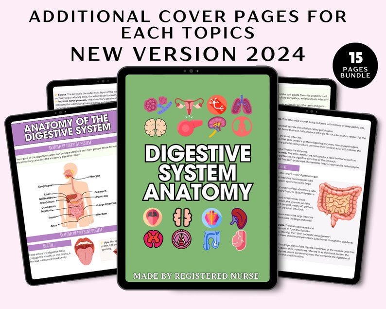 Ultimate Anatomy & Physiology Digestive System 2024, Nursing School ...
