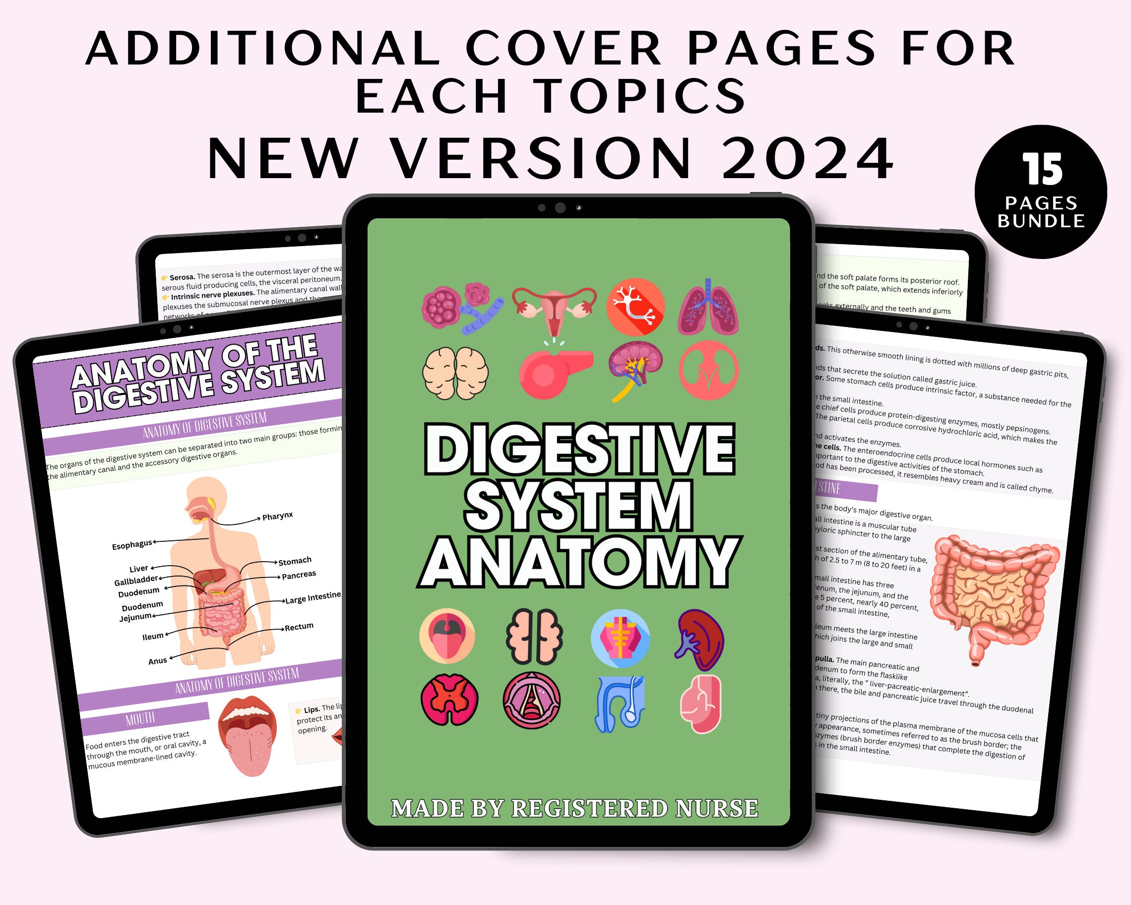 Ultimate Anatomy & Physiology Digestive System 2024, Nursing School ...
