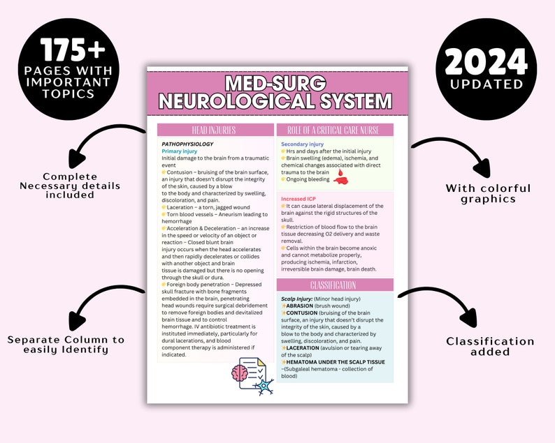 Med-surg Study Bundle 2025, Nursing Study Guide, Med Surg Notes ...