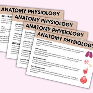 Complete Anatomy & Physiology Flashcards 2024, Nursing School Notes ...