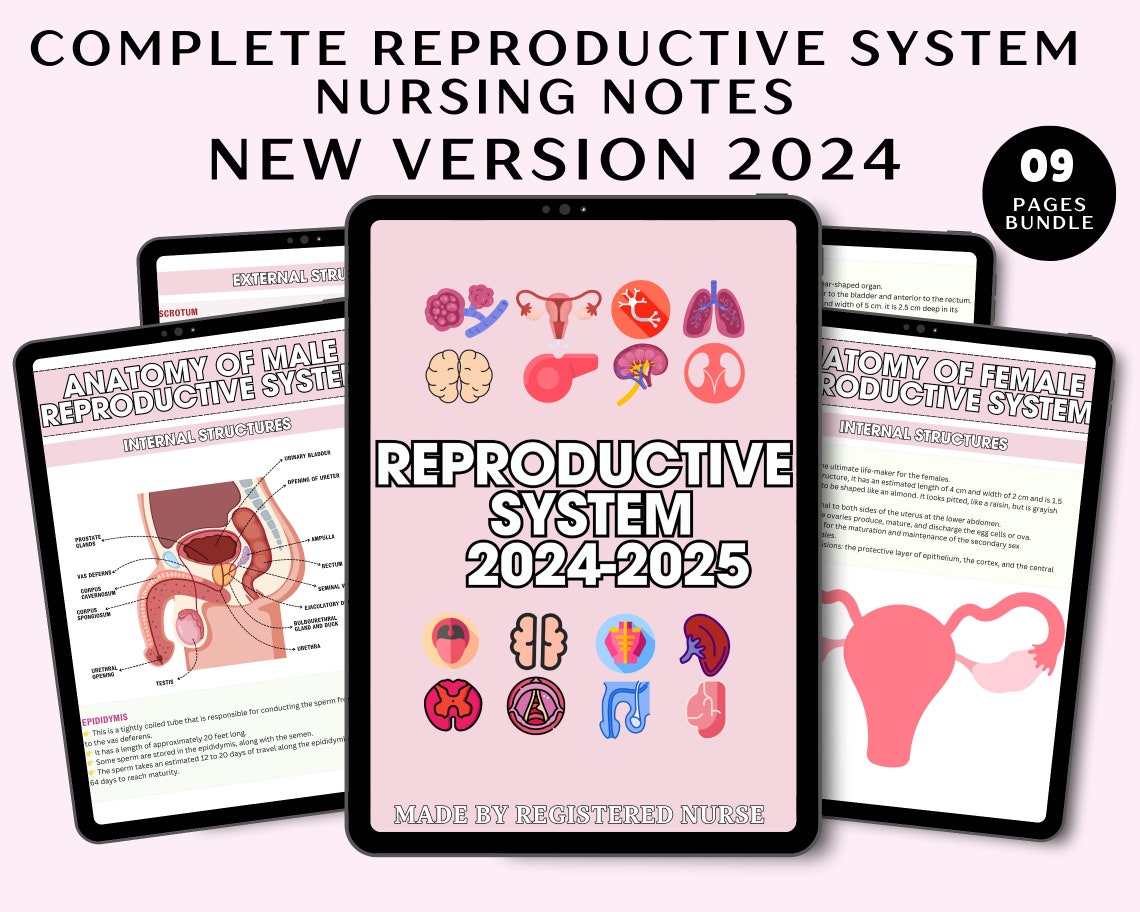 Reproductive System Nursing Notes, Reproductive System, Anatomy and ...