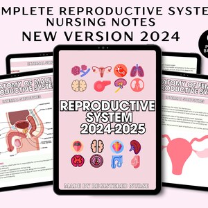 Reproductive System Nursing Notes, Reproductive System, Anatomy and ...