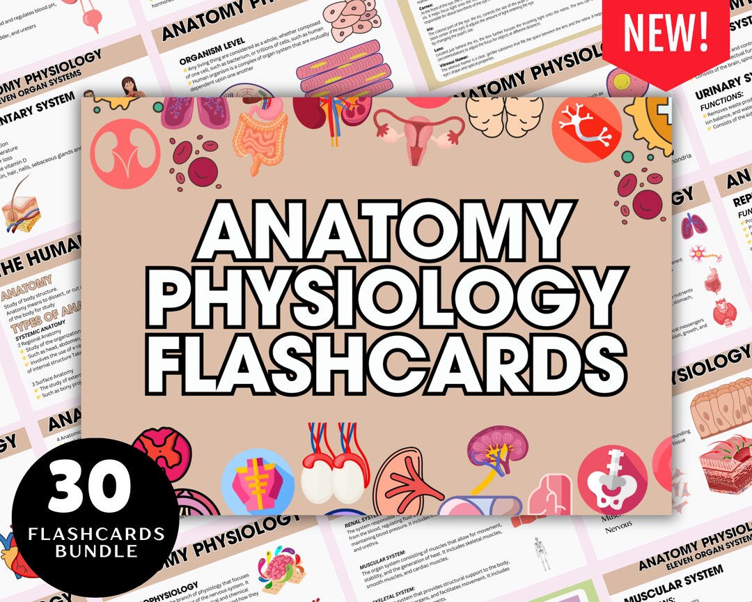 Complete Anatomy & Physiology Flashcards 2024, Nursing School Notes ...