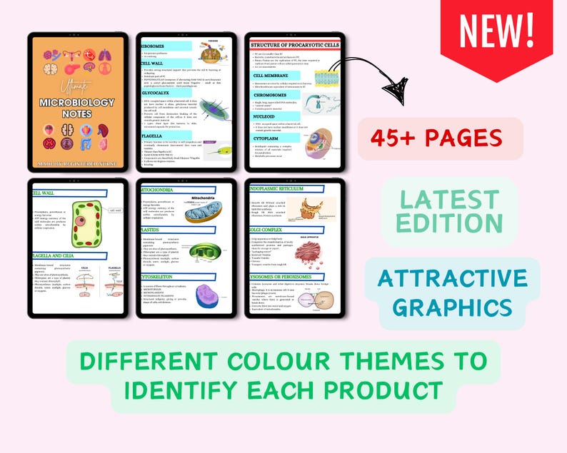 Microbiology Notes Bundle | Medical School Study Guide (digital PDF) - Etsy