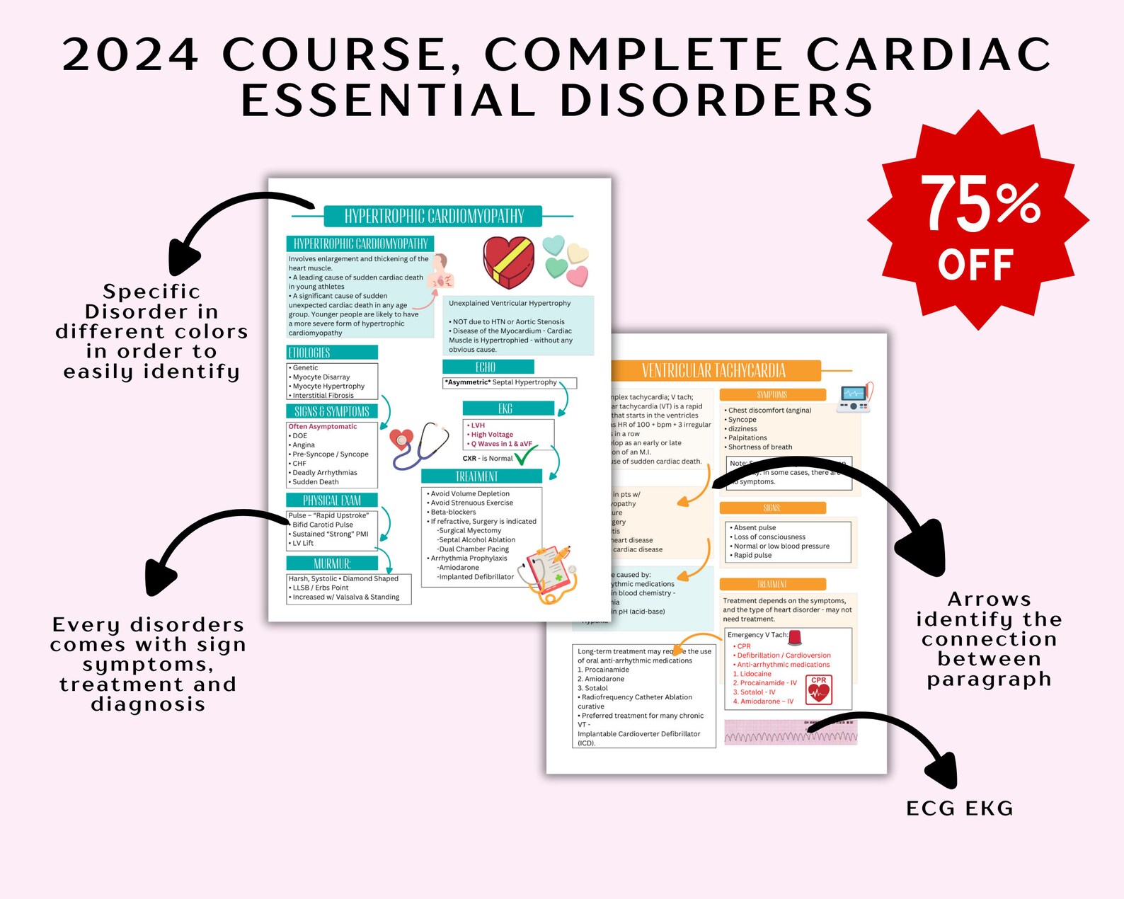 Cardiac Nursing Notes Bundle, Cardiovascular System, Med Surg (2025) - Etsy