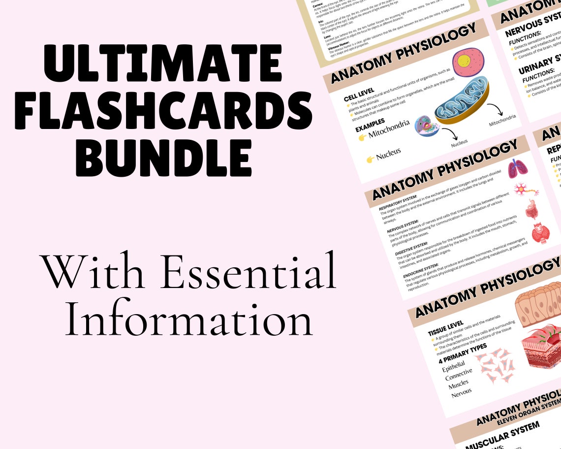 Anatomy & Physiology Flashcards, Medical Study Guide (instant Download ...
