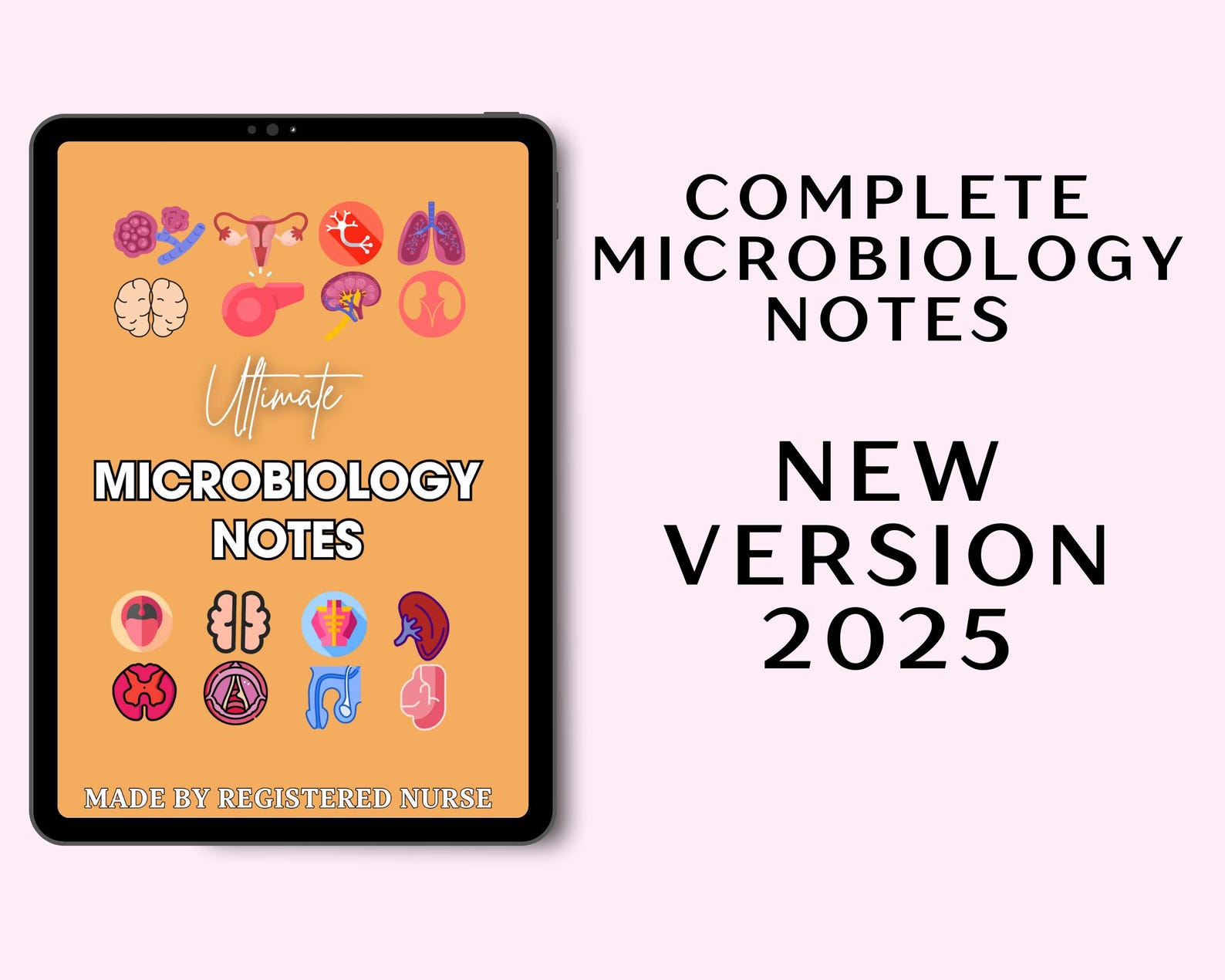 Microbiology Notes Bundle | Medical School Study Guide (digital PDF) - Etsy