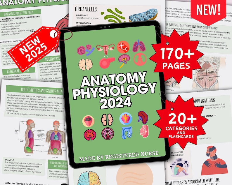 Advance Anatomy & Physiology II Bundle With Flashcards, Anatomy Study ...