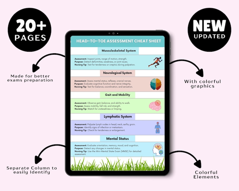150+ Head to Toe Assessment Cheat Sheet 2025, Nursing Study Guide (digital Downloads) - Etsy Canada