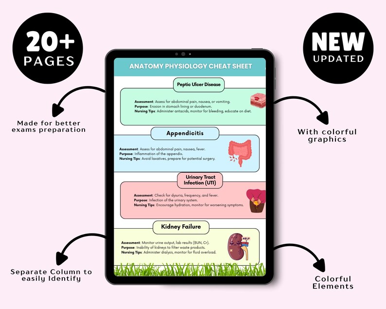 150+ Anatomy Physiology Cheat Sheet 2025, Physiology Notes, A & P Notes ...