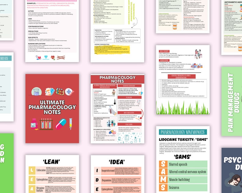 Pharmacology Study Guide Bundle 100+ Pages, Pharmacology Notes, Nursing ...