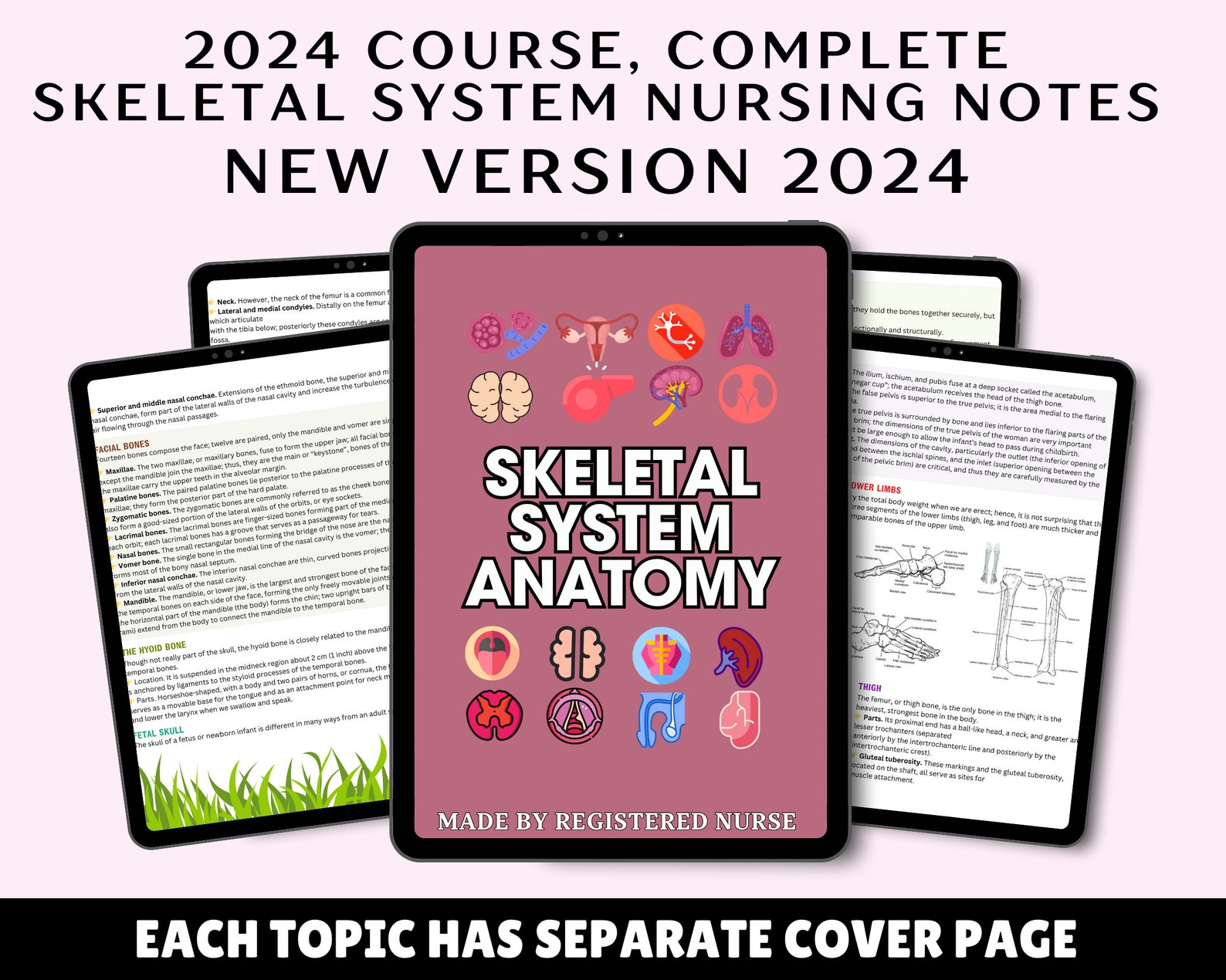 Ultimate Skeletal System Notes, Intro to Skeletal System, Skeleton ...