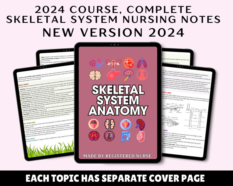 Ultimate Skeletal System Notes, Intro to Skeletal System, Skeleton ...