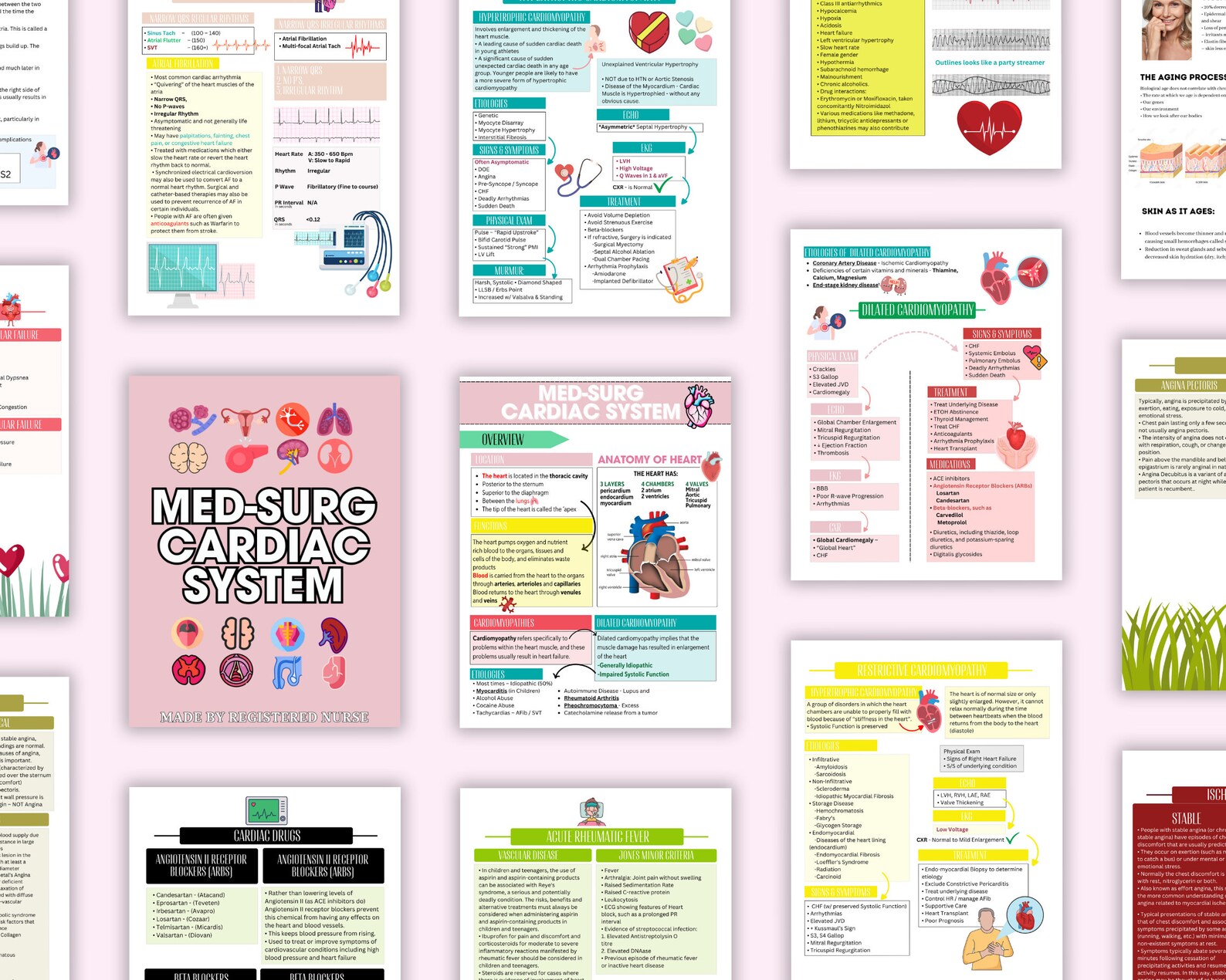 Cardiac Nursing Notes Bundle, Cardiovascular System, Med Surg (2025) - Etsy