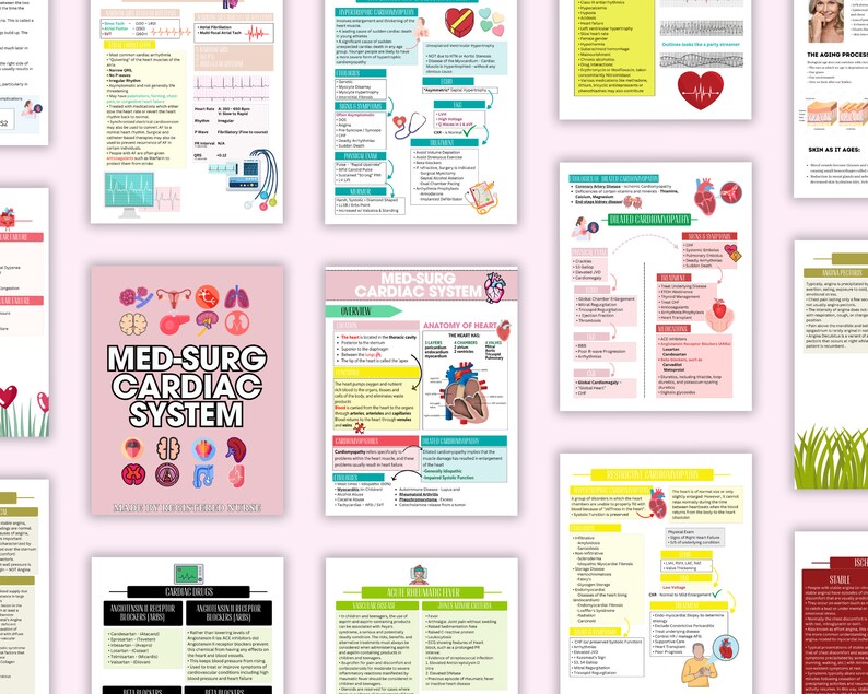 Cardiovascular System and Disorders With Cardiac Rhythms 2024 Nursing ...