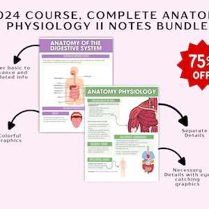 Advance Anatomy & Physiology II Bundle With Flashcards, Anatomy Study ...