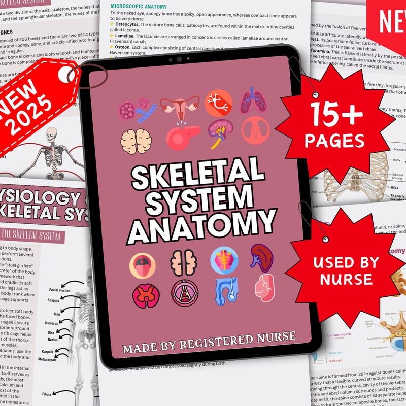 Anatomy Cheat Sheets - Etsy