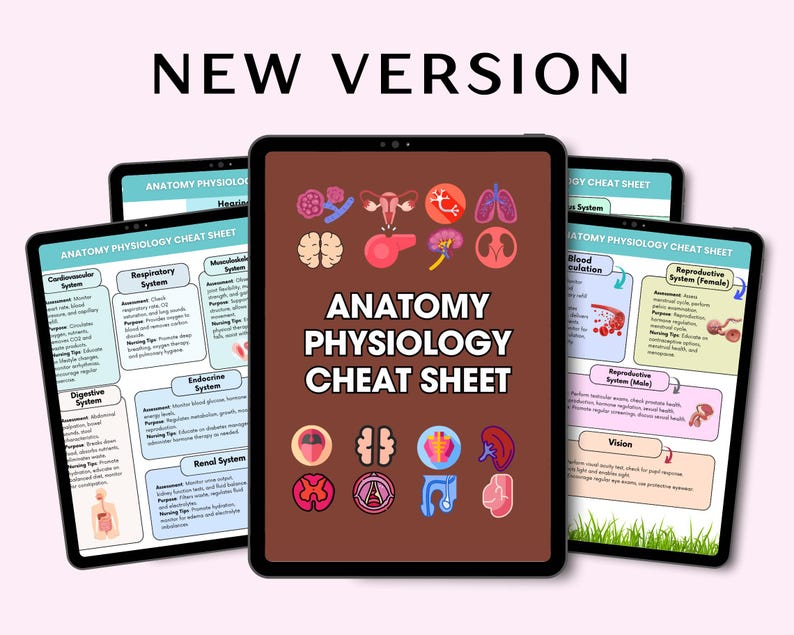 150+ Anatomy Physiology Cheat Sheet 2025, Physiology Notes, A & P Notes ...