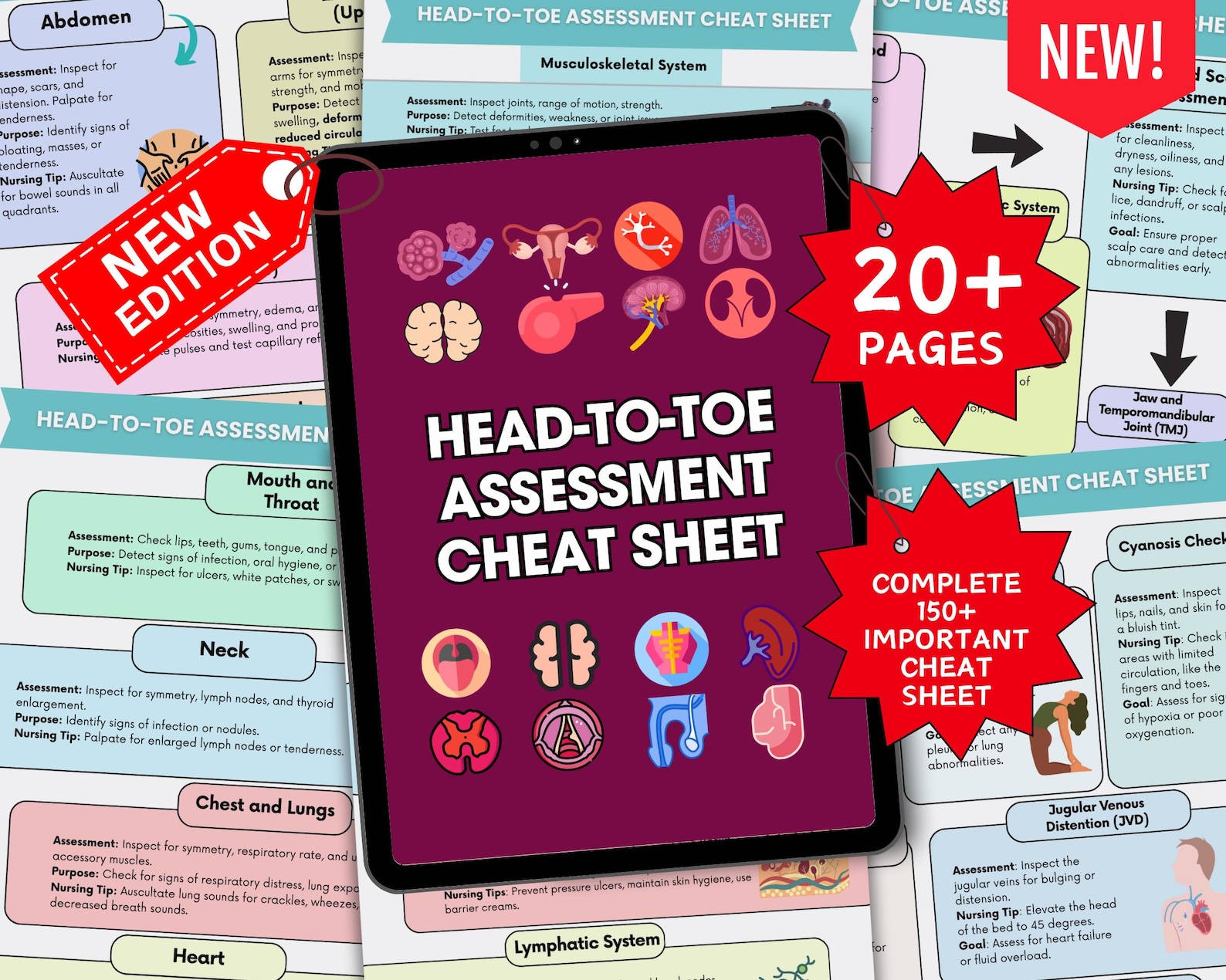 150+ Head to Toe Assessment Cheat Sheet 2025, Nursing Study Guide ...