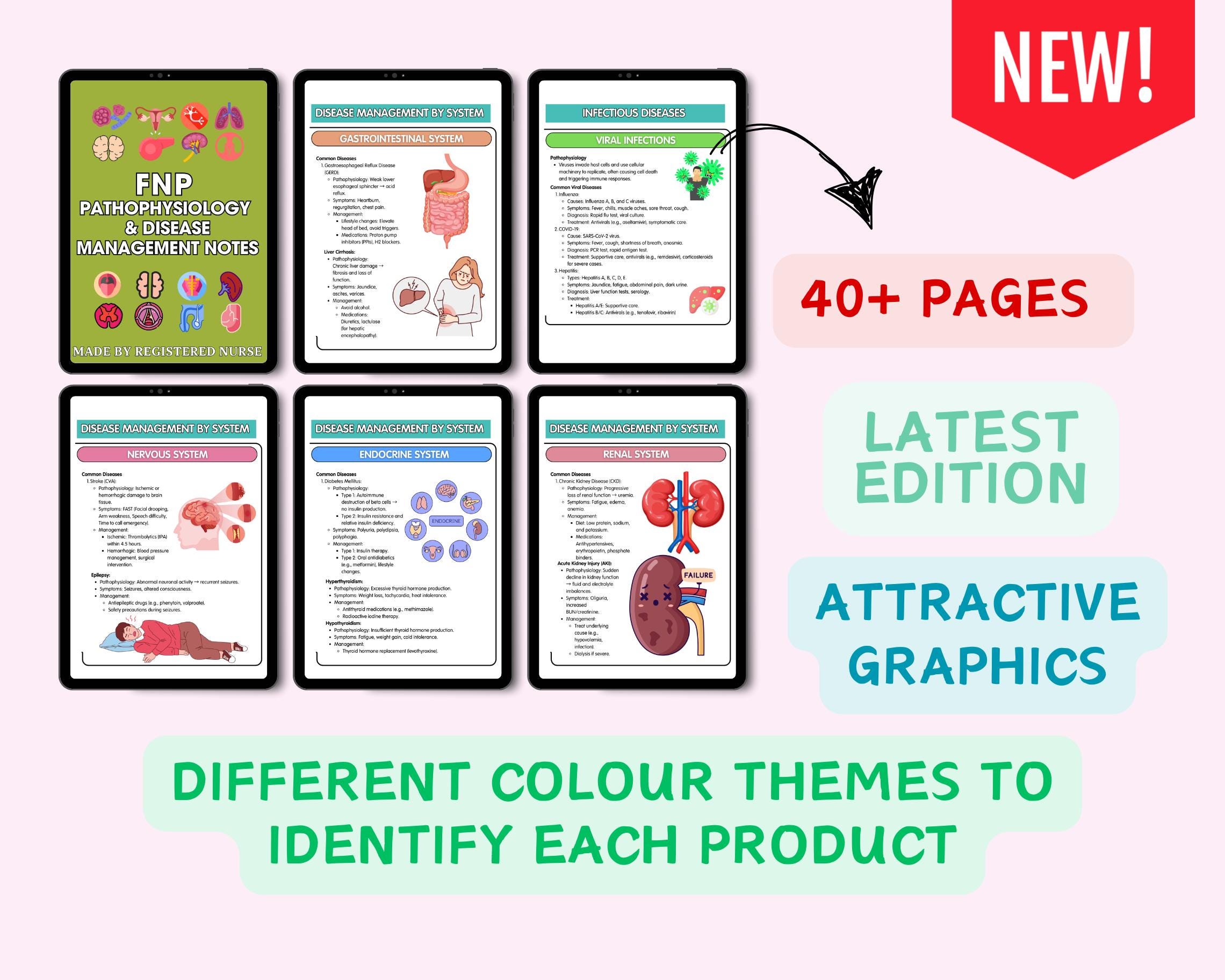 FNP Pathophysiology, Fnp Infectious Disease, FNP Study Guide, FNP ...