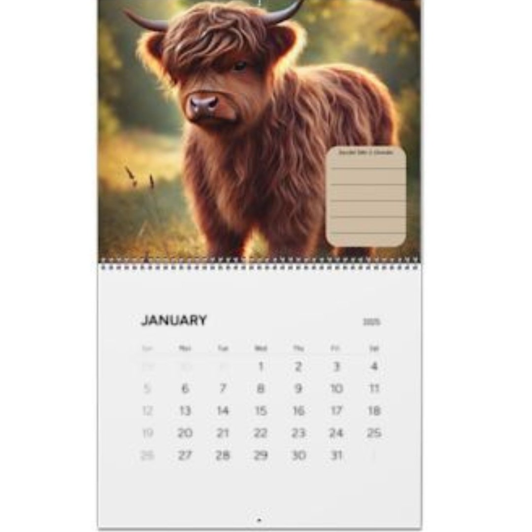 Highland Cow 2025 Calendar Dated Monthly 2025 Wall Calendar Cow Lovers ...