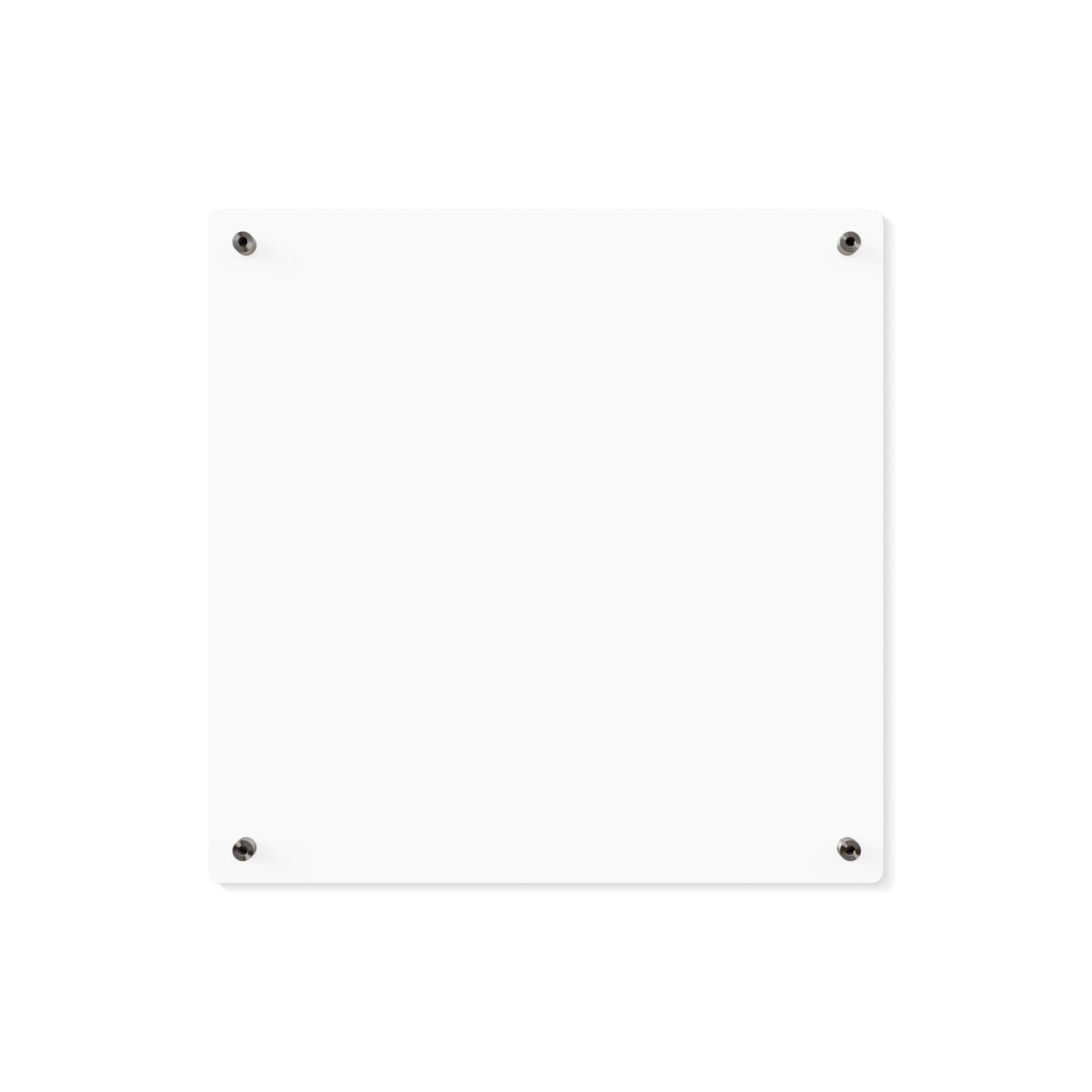 Modern Office Decor: Hawk Art Panel, Captivating Hawk Acrylic Print ...