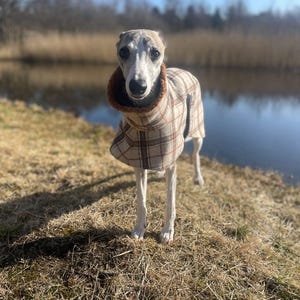 Winter Jacket. Pdf Sewing Pattern for Whippet, Greyhound, and Other Big ...