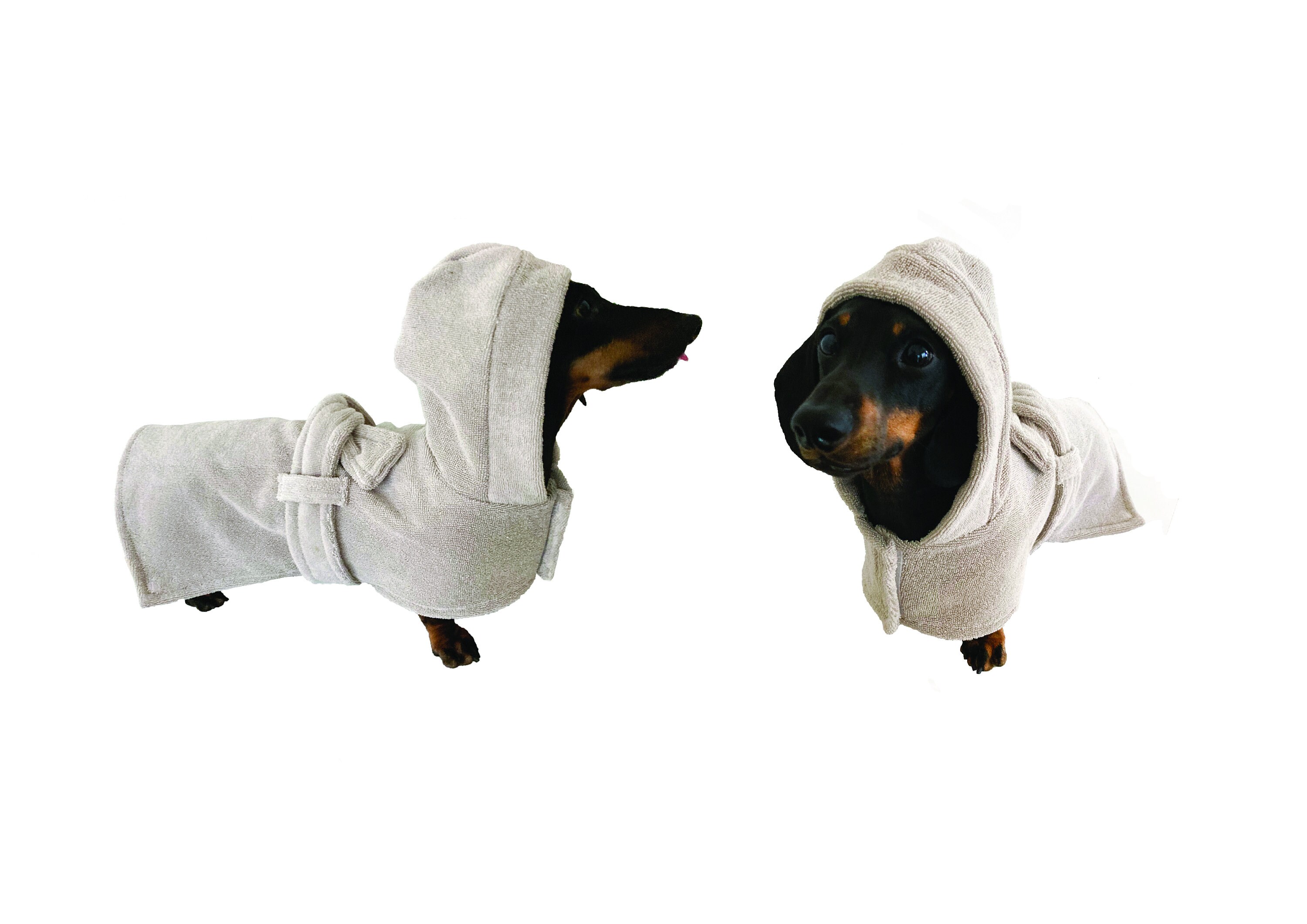 Bathrobe Pattern Pdf for Dachshund and Other Dogs - Etsy