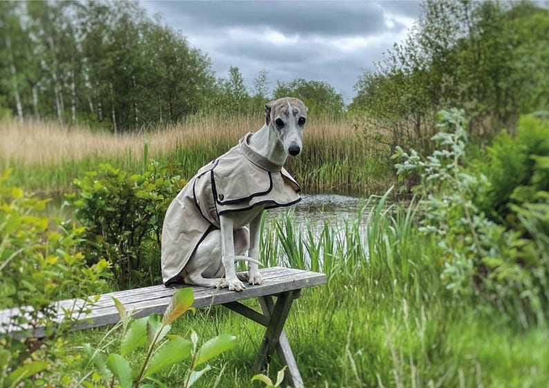 Dog Trench Coat Sewing Pattern: Sighthound (PDF Download) - Etsy