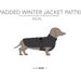 Padded Winter Jacket Pattern Pdf for Dachshund and Other Dogs - Etsy