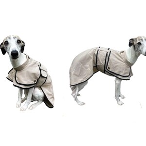 Dog Trench Coat Sewing Pattern: Sighthound (PDF Download) - Etsy