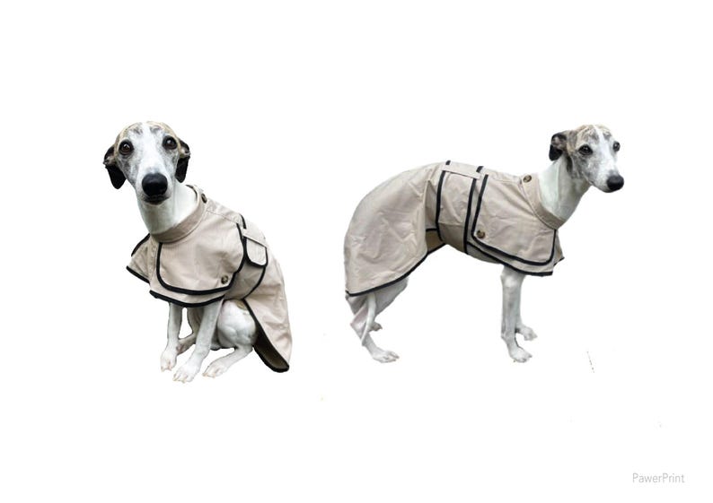 Dog Trench Coat Sewing Pattern: Sighthound (PDF Download) - Etsy