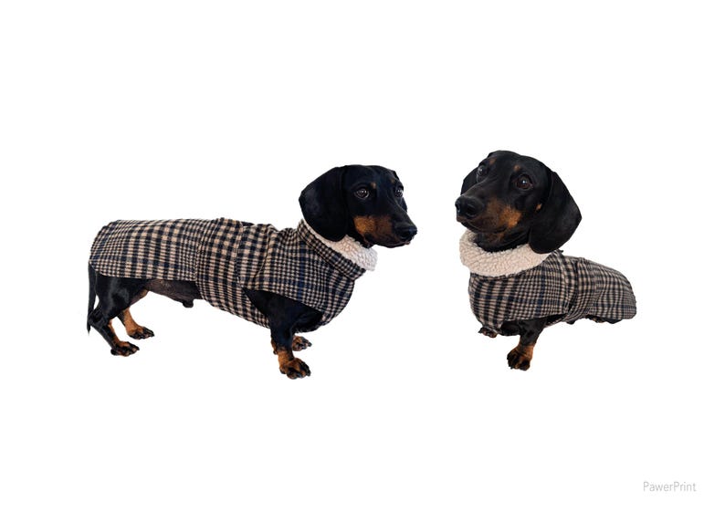 Dachshund Winter Coat PDF Sewing Pattern: Long Dog Jacket - Etsy