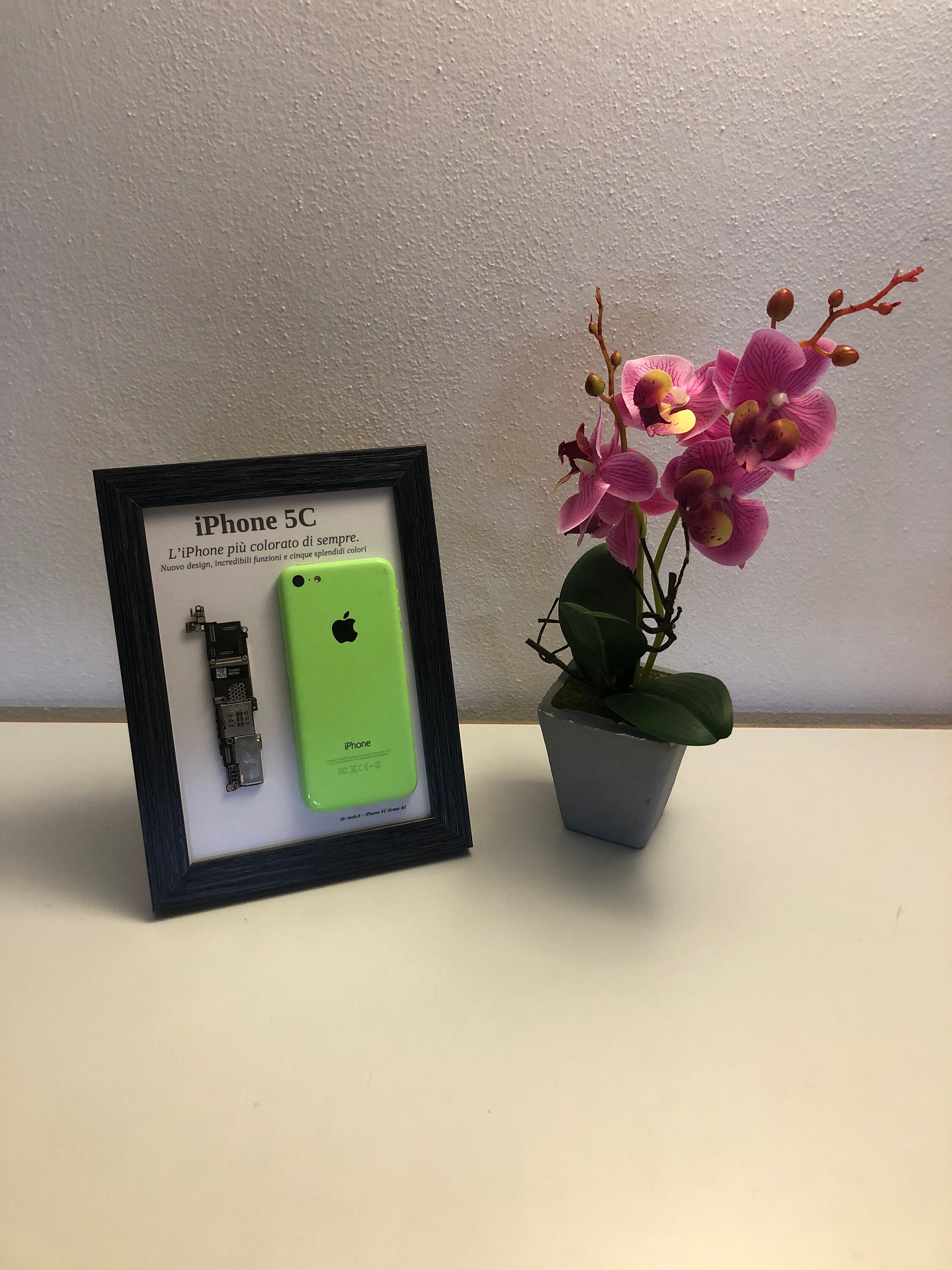 Iphone 5c Green Box