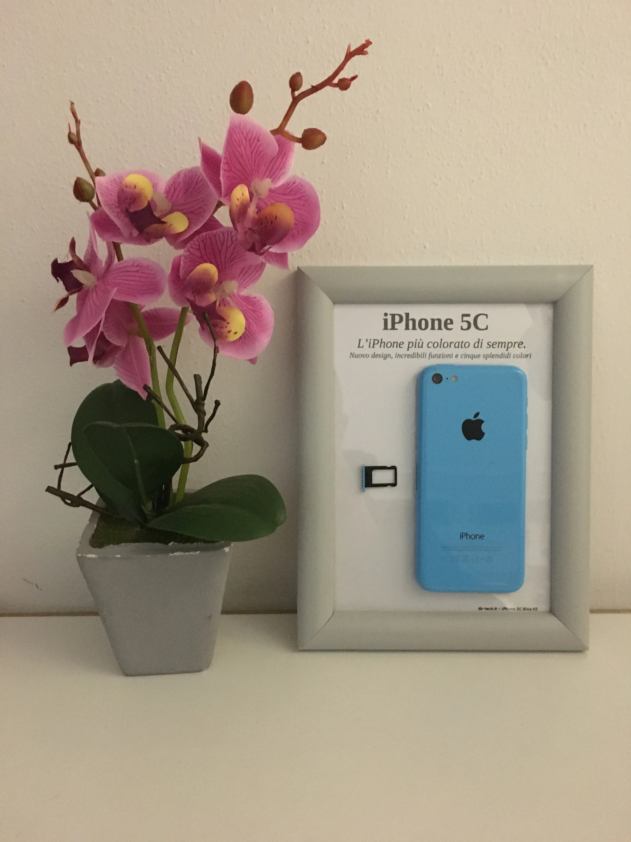Iphone 5c Blue In Box
