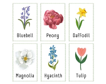 Domestic Animals Flashcards With Real Pictures Farm Animals - Etsy