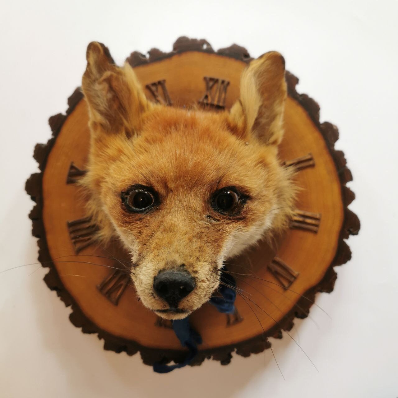 Cursed Doll and Taxidermy SAMMY Halloween Horror Art Fox Included - Etsy