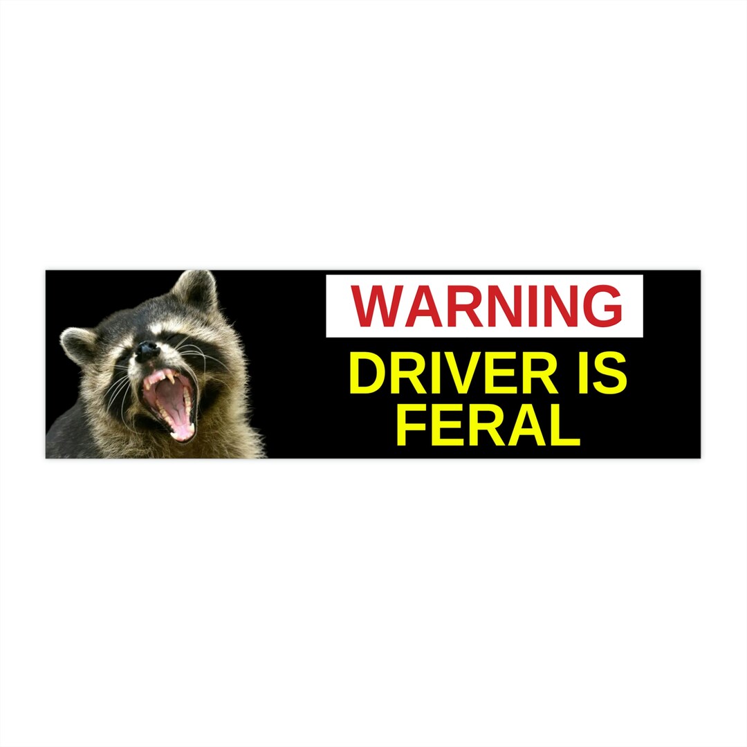 Driver is Feral Racoon Bumper Sticker - Funny Sticker - Hydroflask ...