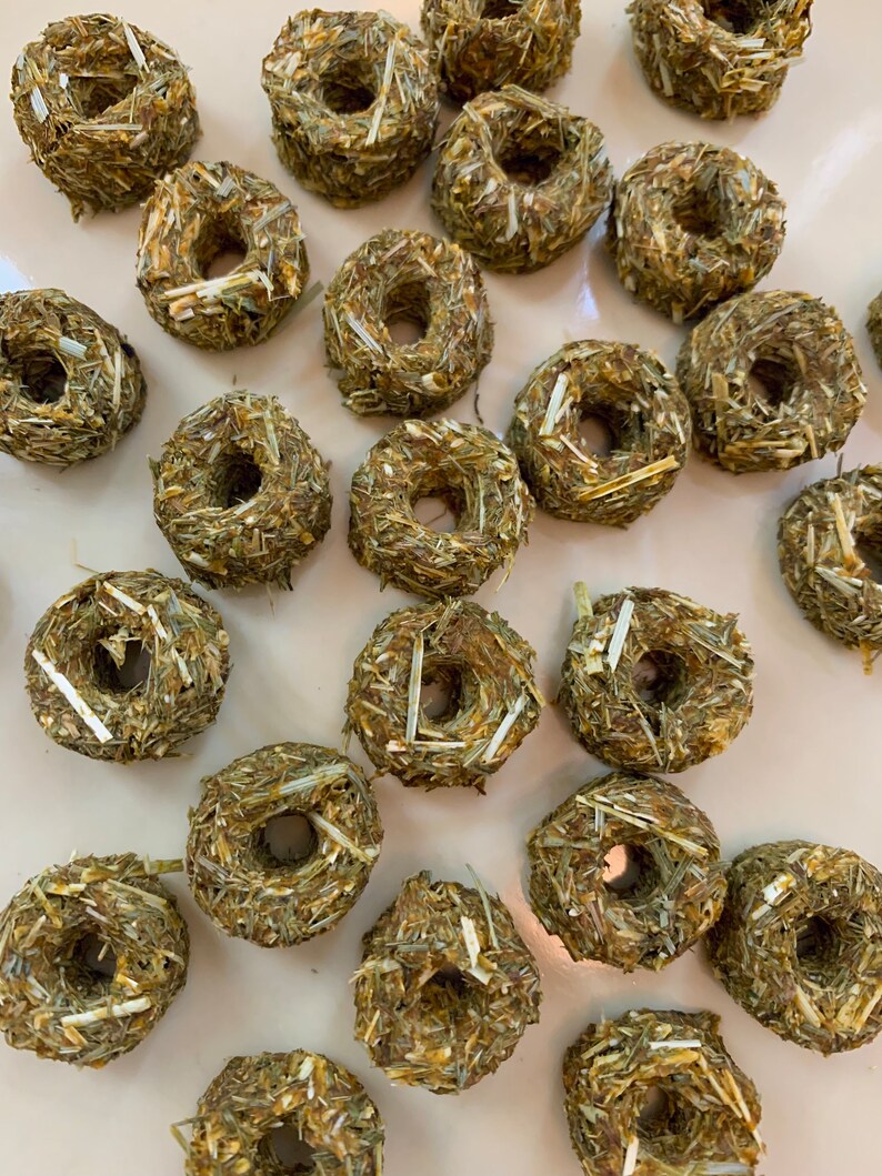 Pumpkin Hay Donuts | Hay-based, Quality, and Natural Treat for Rabbits ...