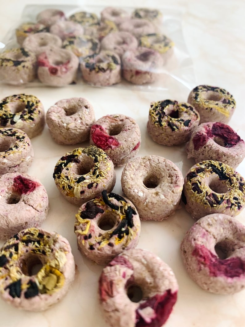 Gourmet Mini Donut Treats for Rabbits | Quality Treats for Rabbits ...