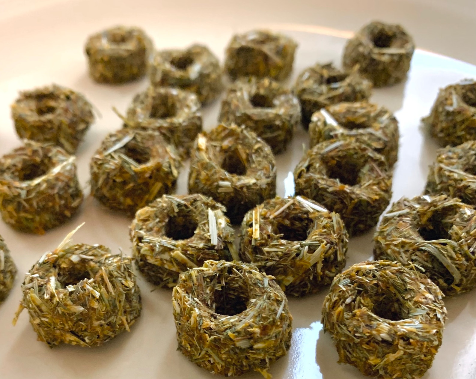 Pumpkin Hay Donuts | Hay-based, Quality, and Natural Treat for Rabbits ...