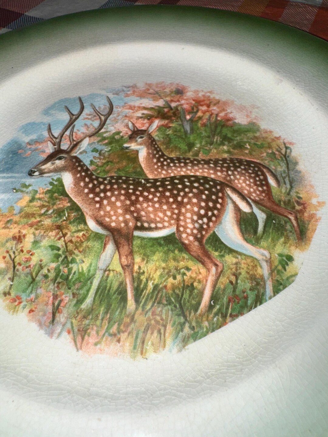 Decorative Deer Plate, American Buffalo Pottery Plate, Early 20th ...