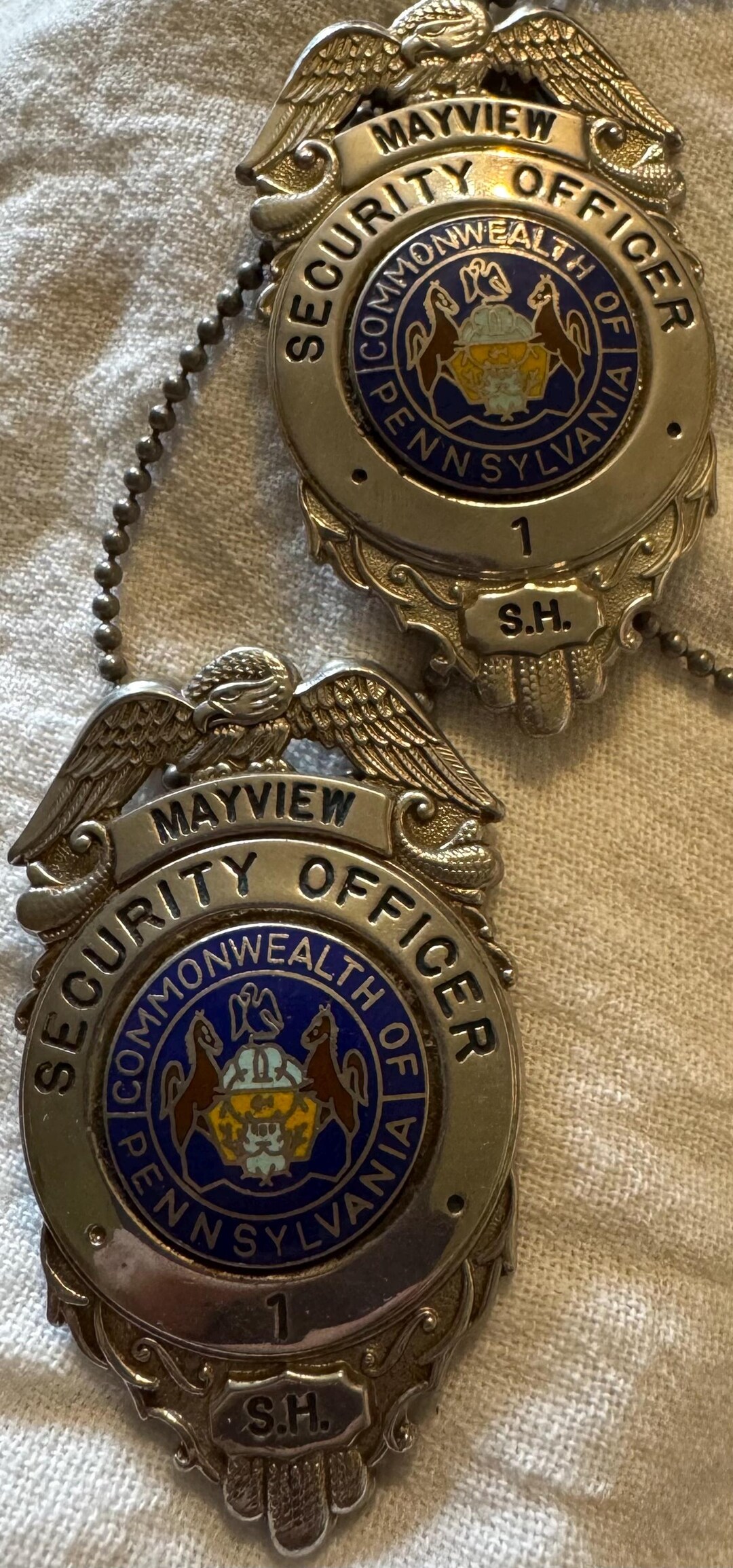 Old Vintage Pennsylvania Mayview Security Officer State Badge Retired ...