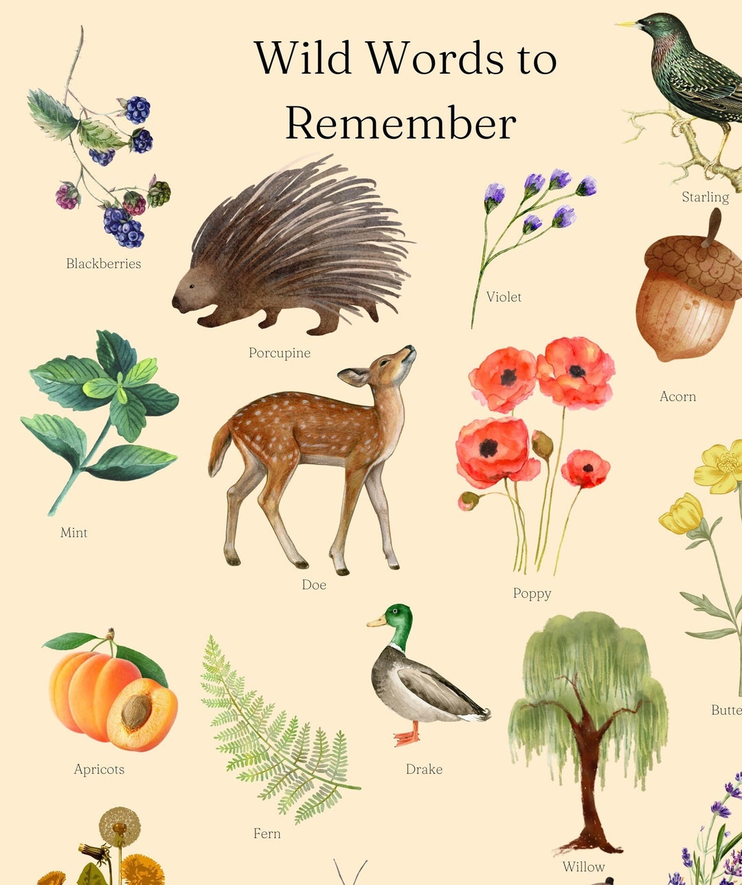 Wild Words to Remember Poster, Digital Download Poster, Homeschool ...