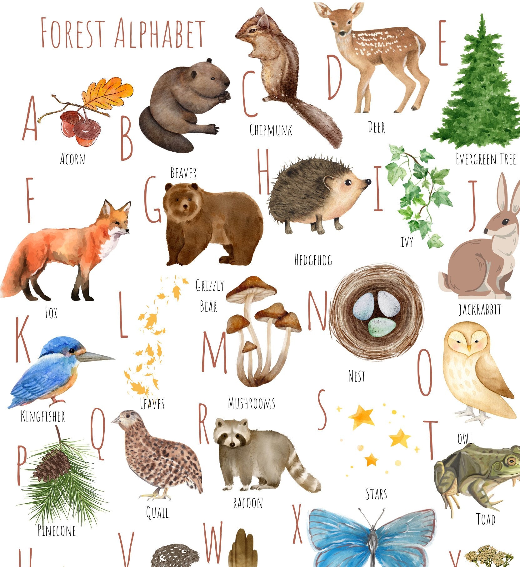 Forest Alphabet, Digital Download Alphabet, Nature Alphabet, Nursery ...